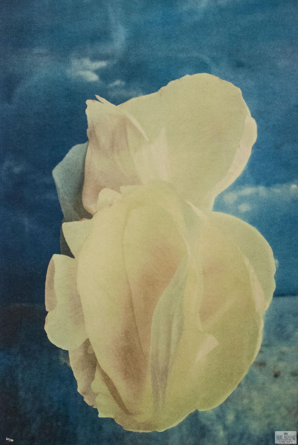 Gordon Parks – Rue Royale Fine Art